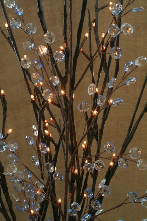 Crystal Sprays from the Light Garden