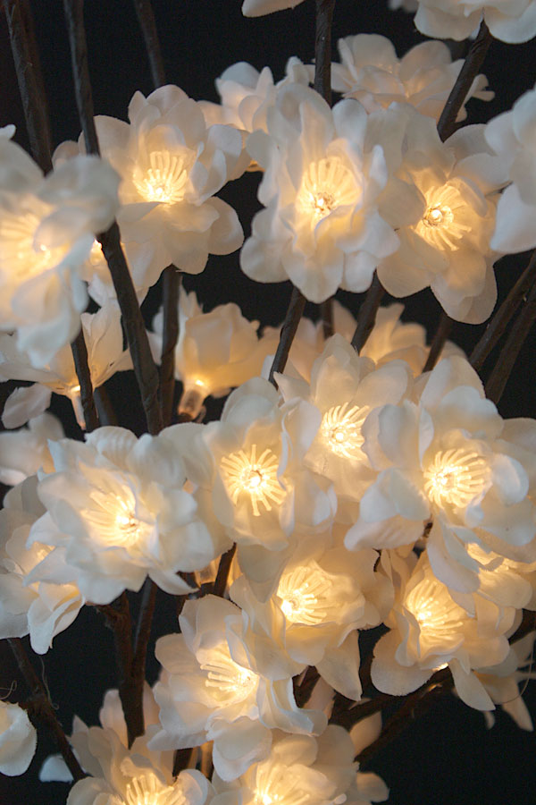 Illuminated Garden: White Plum Nouveau Branch 60 Bulb - Electric - 20 Inch